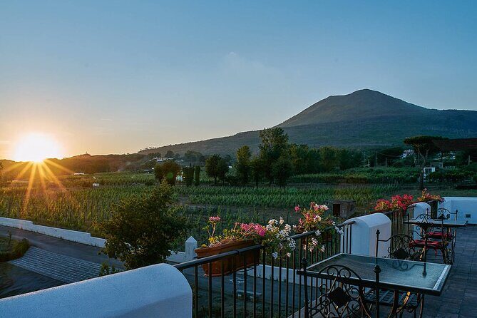 Pompeii and Naples from Rome: Small Group Day Tour with Lunch - What to Expect from This Full-Day Adventure