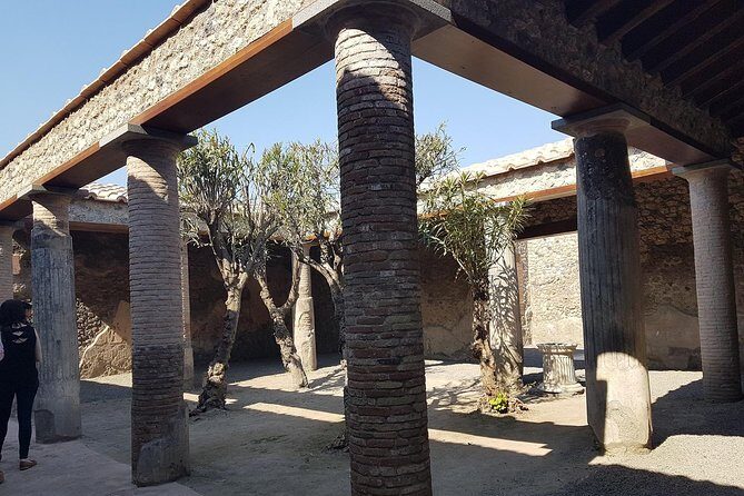 Pompeii and Naples from Rome: Small Group Day Tour with Lunch - Final Thoughts