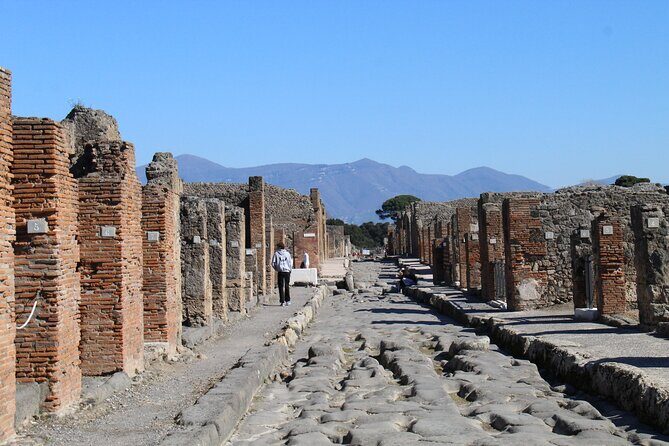 Pompeii and Positano Day Trip from Rome with Guided Tour - Reviews: Authentic Voices and Insights