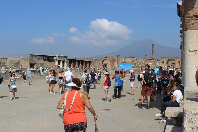 Pompeii and Vesuvius from Naples. Private activity - Who Should Consider This Tour?