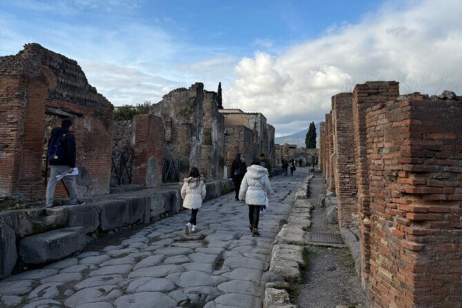 Pompeii and Vesuvius Private Tour from Naples - Why Choose This Tour?
