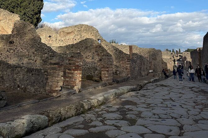 Pompeii and Vesuvius Private Tour from Naples - Authentic Insights from Reviewers