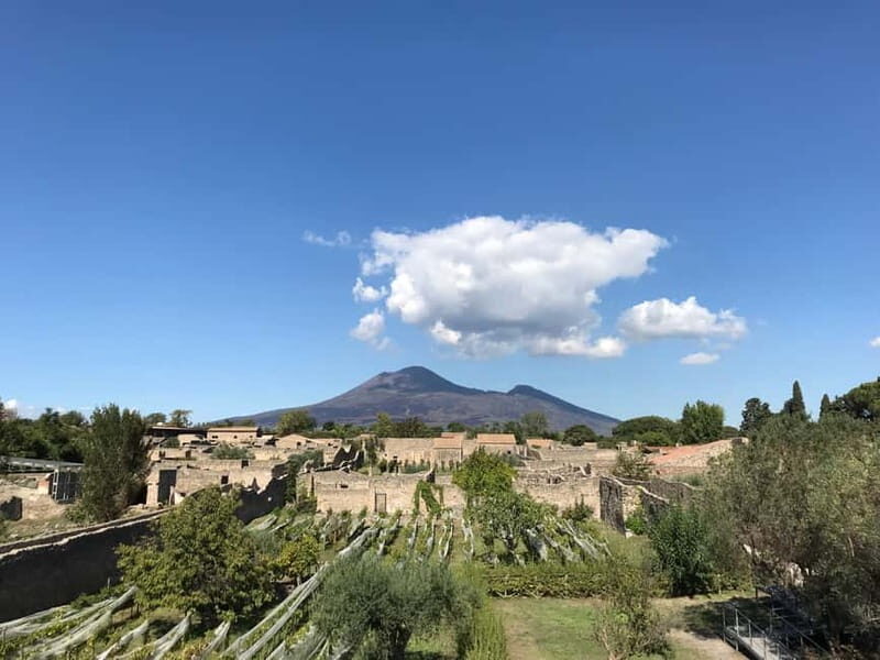 Pompeii: Exclusive Tour with Archaeologist and Entry Tickets - Practical Details and Tips