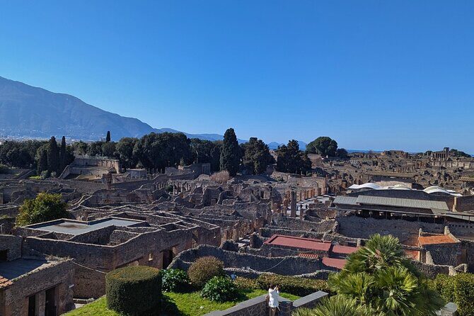 Pompeii Express Day Trip: High-Speed Train from Rome - Food, Rest, and Additional Tips