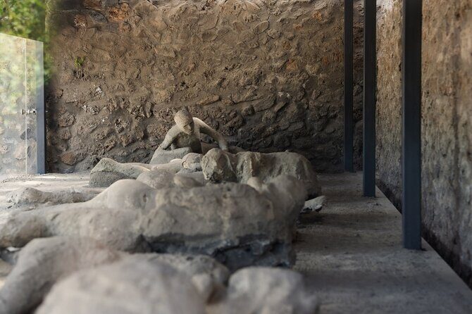 Pompeii Express Day Trip: High-Speed Train from Rome - Practical Details and What to Expect