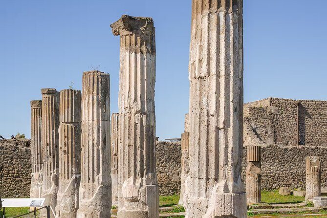 Pompeii Guided Experience - Tour Service Only - Frequently Asked Questions