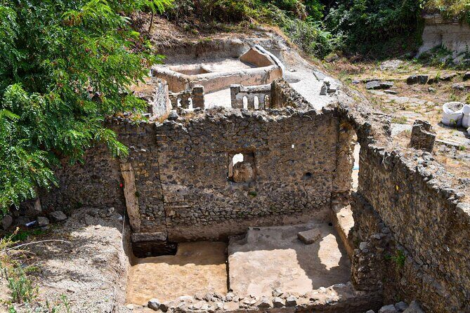 Pompeii Guided Tour & Lunch with Superior Wine Tasting - Exploring Pompeii: More Than Just Ruins