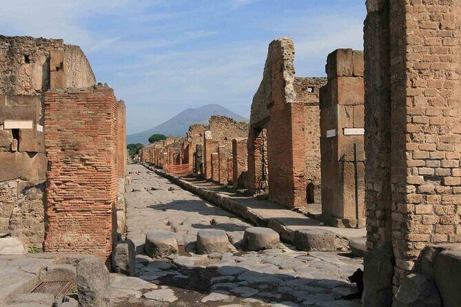 Pompeii & Herculaneum Day Trip from Naples with Lunch - The Challenges and Considerations