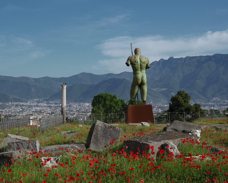 Pompeii & Herculaneum: Skip-the-line & Digital Guide App - Who Should Book This Tour?