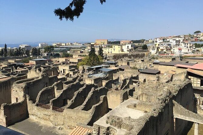 Pompeii, Herculaneum & Wine Tour, with Licensed Guide included - A Deep Dive Into the Day