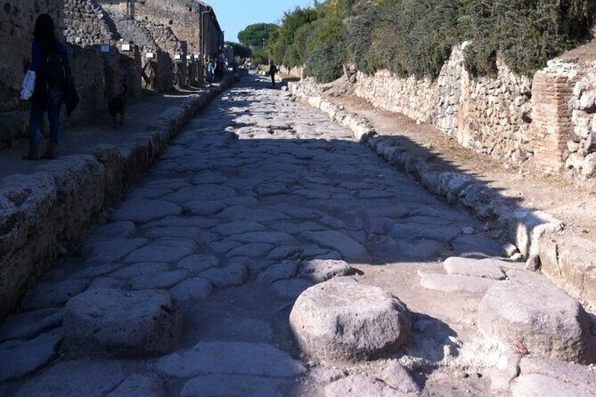 Pompeii, Herculaneum & Wine Tour, with Licensed Guide included - FAQ