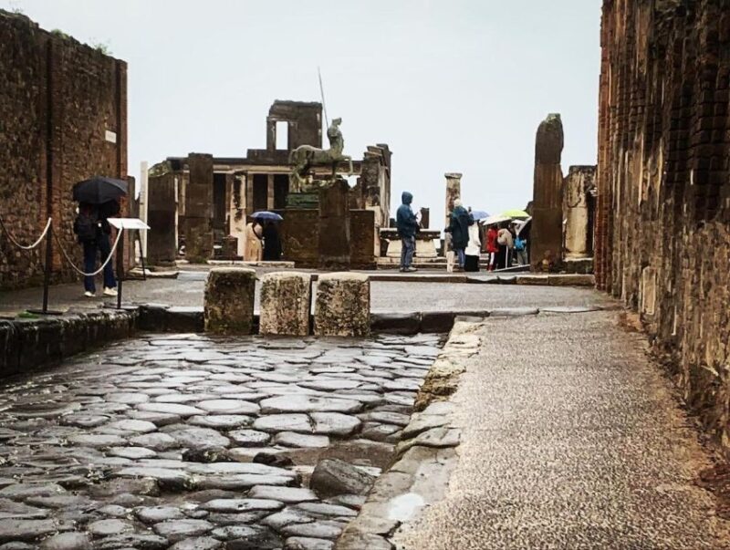 Pompeii in 2h and 30mnt: walk with local guide - Who Should Consider This Tour?