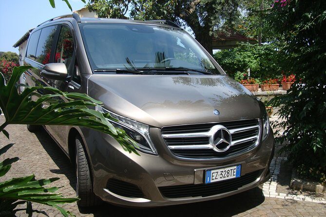 Pompeii, Mt Vesuvius and Wine Tour - Practical Tips for Your Trip