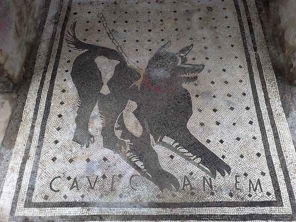 Pompeii Positano and Sorrento shared excursion with Pompeii skip the line entry - Frequently Asked Questions (FAQs)