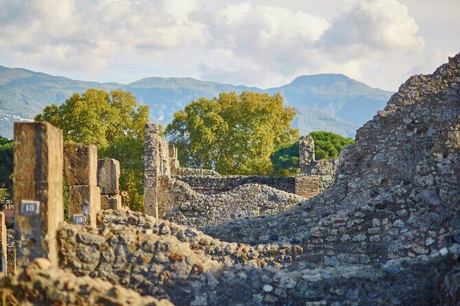 Pompeii Private & Personalized Tour with archeology expert guide - The Sum Up