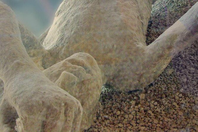 Pompeii Private Tour from Sorrento Entrance fees included - FAQ