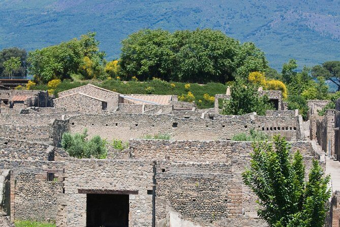 Pompeii Ruins Half-Day Tour from Sorrento with Guide - Frequently Asked Questions