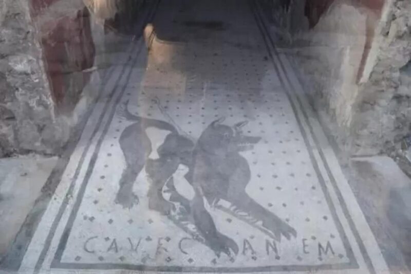 Pompeii: Skip the Line Ticket + Audioguide - Authentic Insights from Reviewers