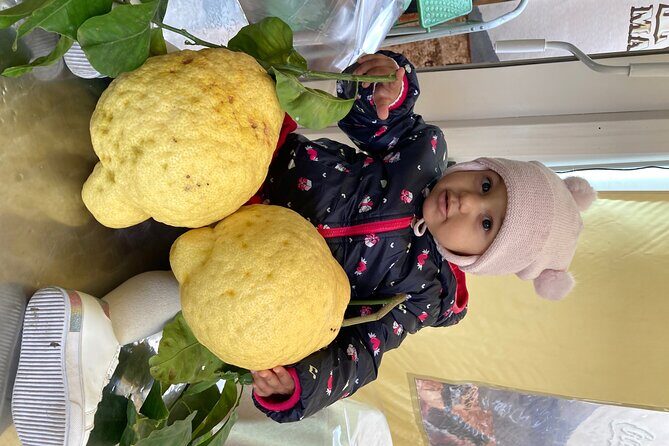 Pompeii Sorrento Positano , Minivan + Guide - Exploring Pompeii, Sorrento, and Positano in a Day