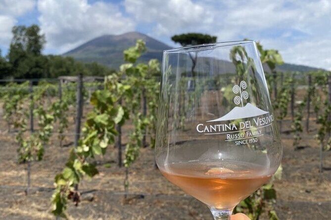 Pompeii Tour, Lunch and Vesuvius Wine Tasting - Who Would Enjoy This Tour?