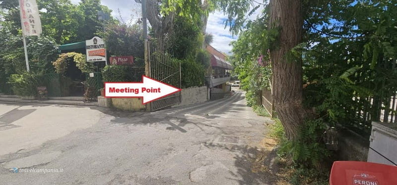 Pompeii: Tour with Archaeologist Guide & Skip-the-Line Entry - Authenticity & Insights from Reviews