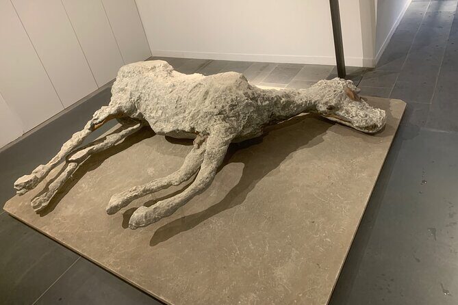 Pompeii tour with LOCAL GUIDE and SKIP THE LINE entrance - Final Thoughts: Is This Tour for You?