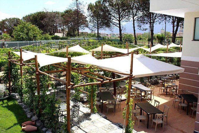 Pompeii & Vesuvius with Lunch & Wine Tasting from Amalfi Coast - Practical Tips for Travelers