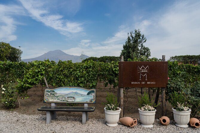 Pompeii Vineyard Escape: Private Wine Tasting & Lunch - Key Points