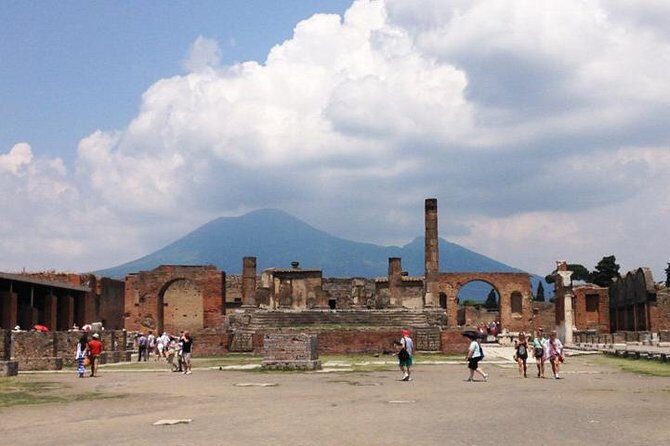Pompeii Walking Tour with a licensed Guide - Why This Tour Appeals to Different Travelers