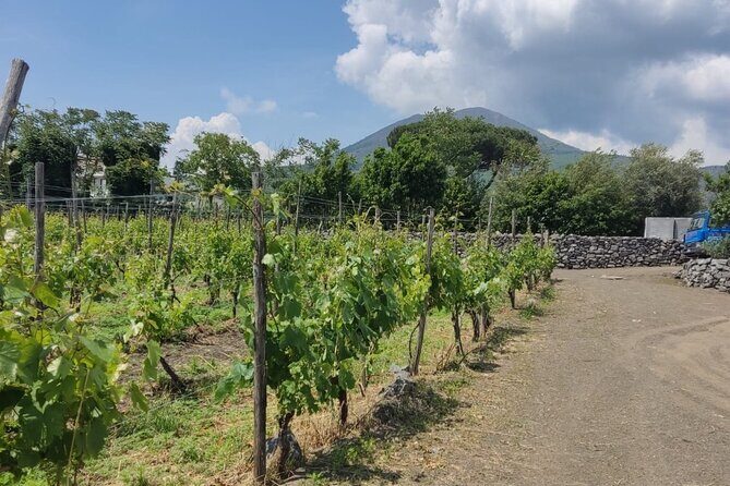 Pompeii & Wine Tasting : Private Day Trip from Naples - Frequently Asked Questions
