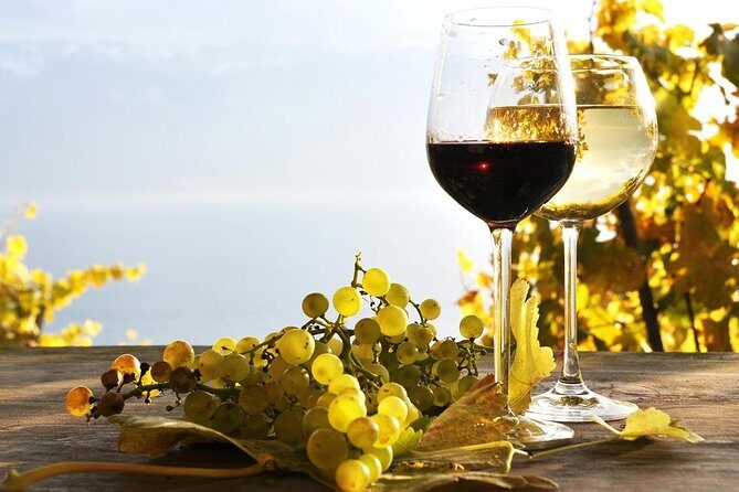 Pompeii & Wine Tour from Sorrento (tickets & lunch not included) - Exploring the Itinerary: What You Can Expect