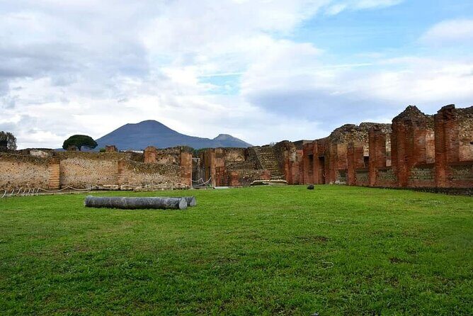 Pompeii & Wine Tour from Sorrento (tickets & lunch not included) - Final Thoughts
