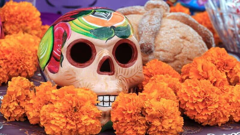 Pomuchs Legacy: A Day of the Dead Cultural Immersion - Starting Point: Tortillería "La Laurita"