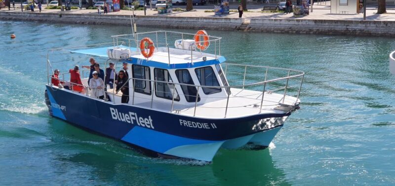 Ponta da Piedade: Half-Day Cruise with Lunch from Lagos - An In-Depth Look at the Experience