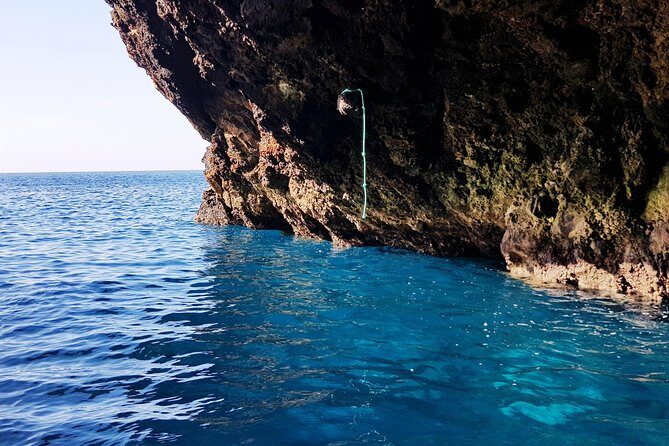 Ponta de São Lourenço Boat Tour - Practical Details and What It Means for You