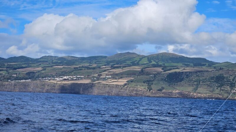 Ponta Delgada: 4-hour Half-Day Fishing Boat Trip Adventure - An In-Depth Look at the Ponta Delgada Fishing Adventure