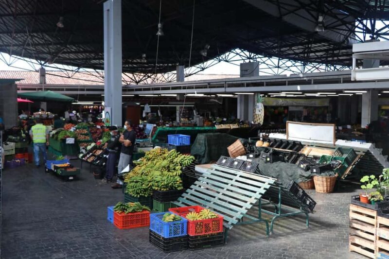 Ponta Delgada Cultural Walk - Practical Details & Value Analysis