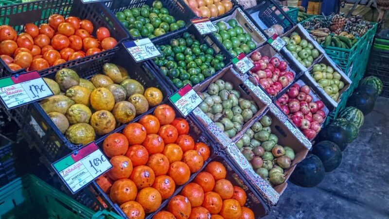 Ponta Delgada: Fat Dolphin Food Tours - The Experience in Practical Terms