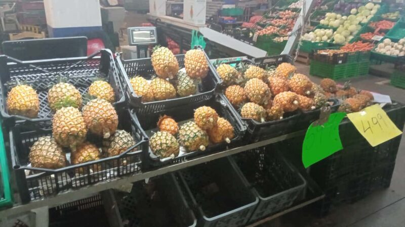 Ponta Delgada: Fat Dolphin Food Tours - FAQ