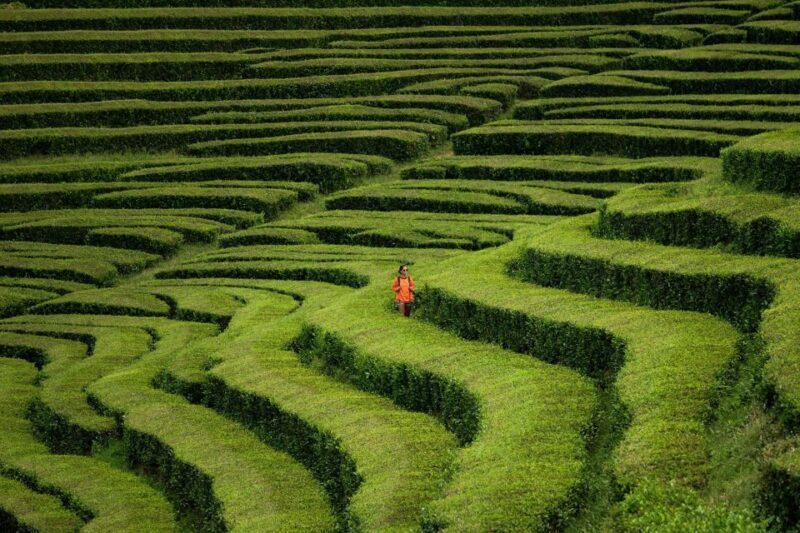 Ponta Delgada: Full-Day Van Tour to Furnas Valley - FAQ