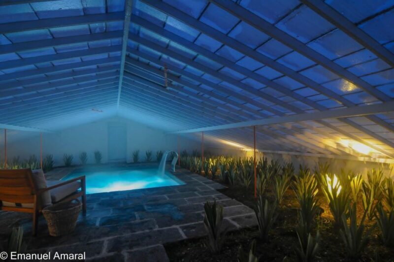 Ponta Delgada: Greenhouse Hot Tube with Pineapple Tour - How to Get the Most Out of the Experience