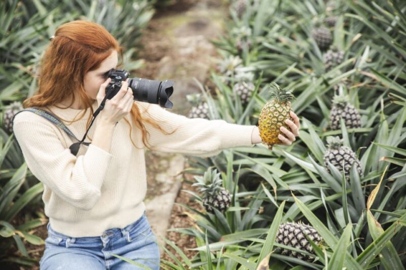 Ponta Delgada: Pineapple wine tasting and pineapple tour - Dive into the Unique World of Azorean Pineapples