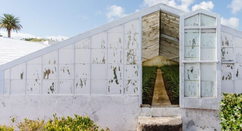 Ponta Delgada: Pineapple wine tasting and pineapple tour - The Garden Experience and Optional Dining