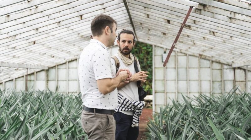 Ponta Delgada: Pineapple wine tasting and pineapple tour - What Reviewers Are Saying