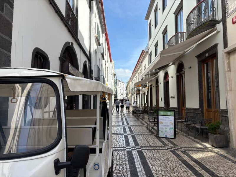 Ponta Delgada: Private City Tour by Electric Tuk Tuk - The Guides: Authentic Local Insights