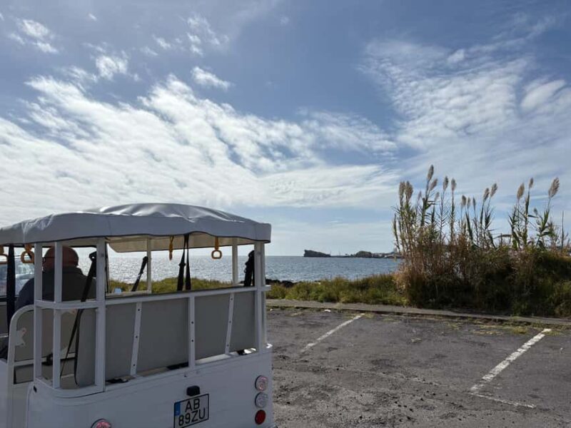 Ponta Delgada: Private City Tour by Electric Tuk Tuk - Who Is This Tour Best For?