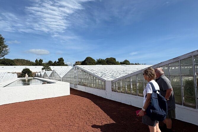 Ponta Delgada Private City Tuk Tuk Tour - Value for Money