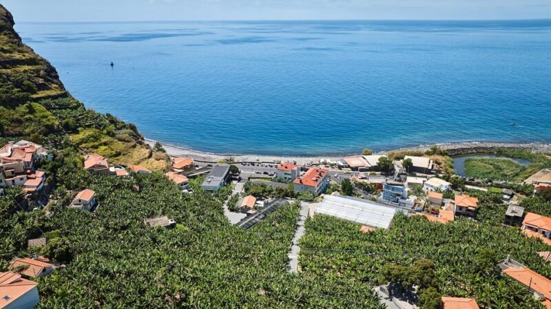 Ponta Do Sol : Madeira Banana Museum guided tour - Exploring the Madeira Banana Museum: What to Expect
