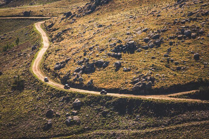 Ponte de Lima Guided Buggy Tour - An In-Depth Look at the Tour