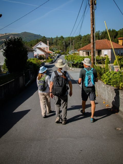 Ponte de Lima: treasures from the oldest village of PT - Discovering Ponte de Lima’s Hidden Corners